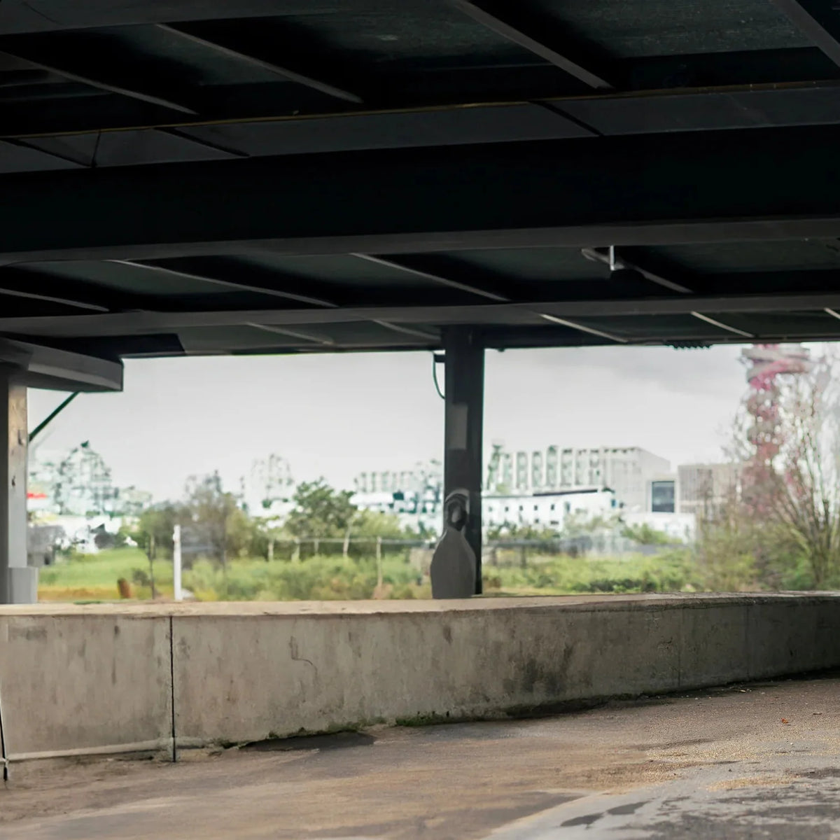 Introducing FLY Sports: Our Newest Brand Addition – Made4Fighters