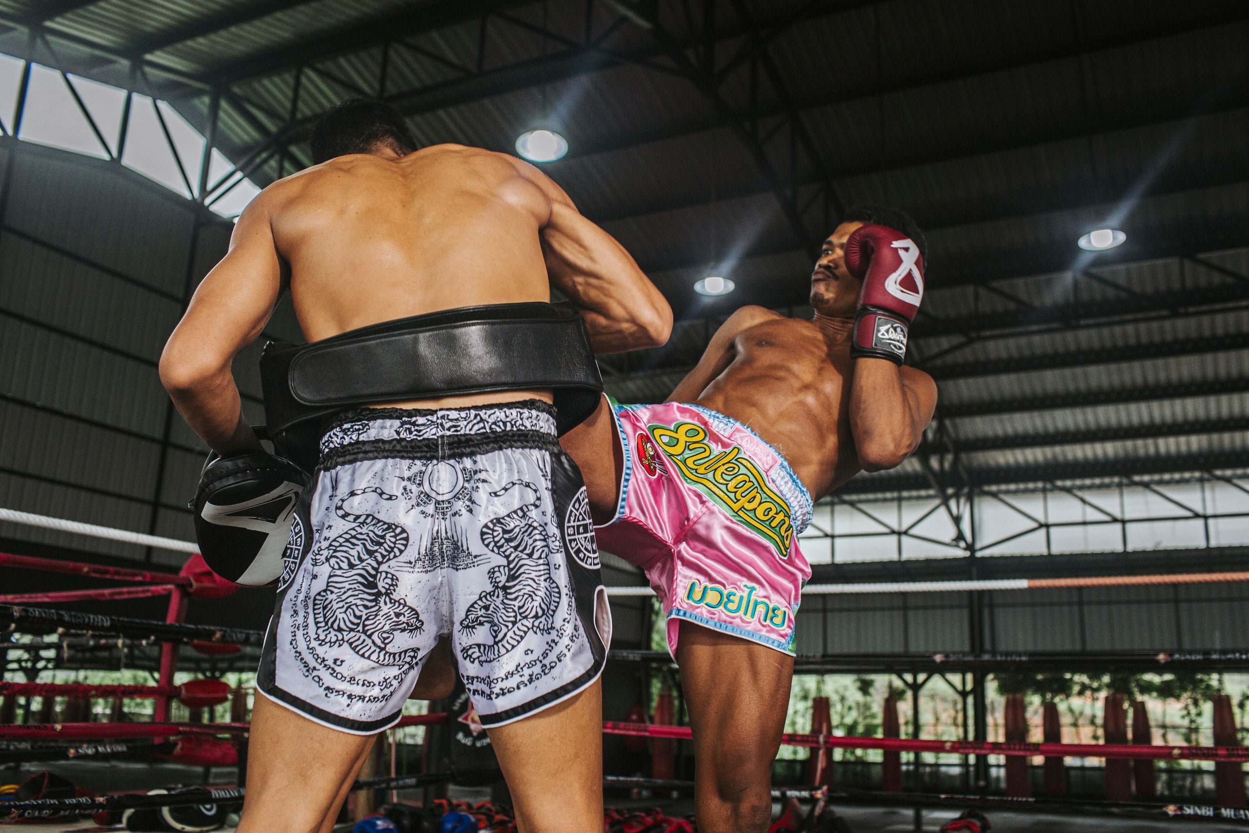 8 Weapons - Muay Thai training Shorts, gloves, shin guards & more from Made4Fighters