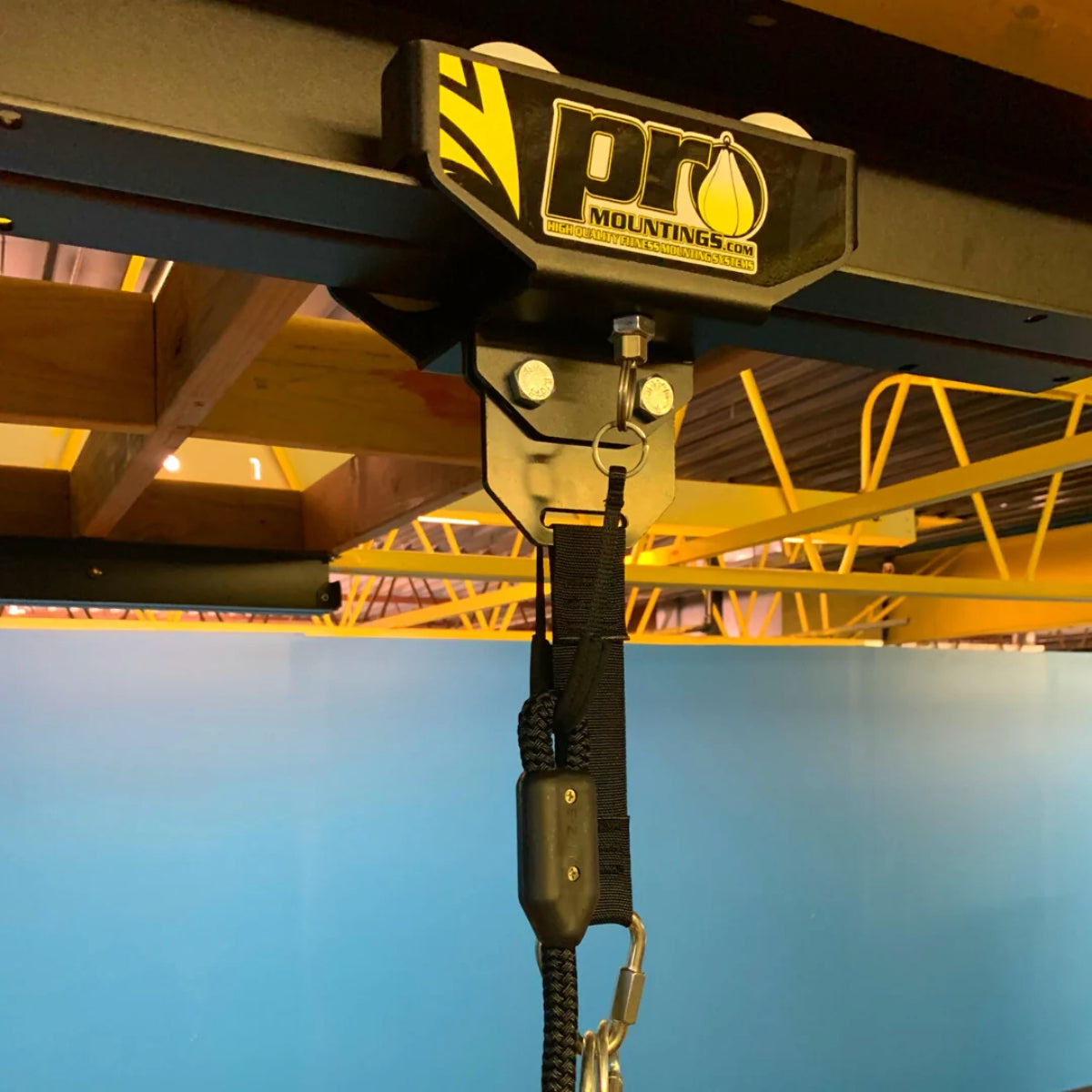 Black Pro Mountings Spring Plunger Roller Mount With Rope from ...