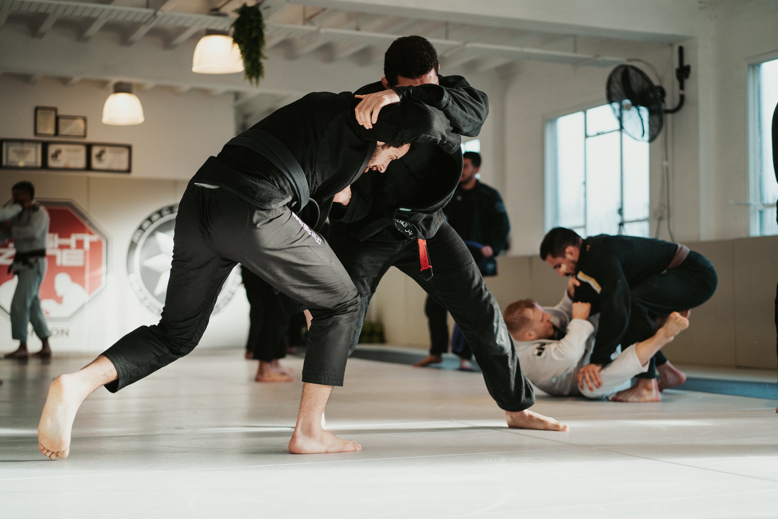 Progress BJJ Rashguards, Fight Shorts and Spats from Made4Fighters