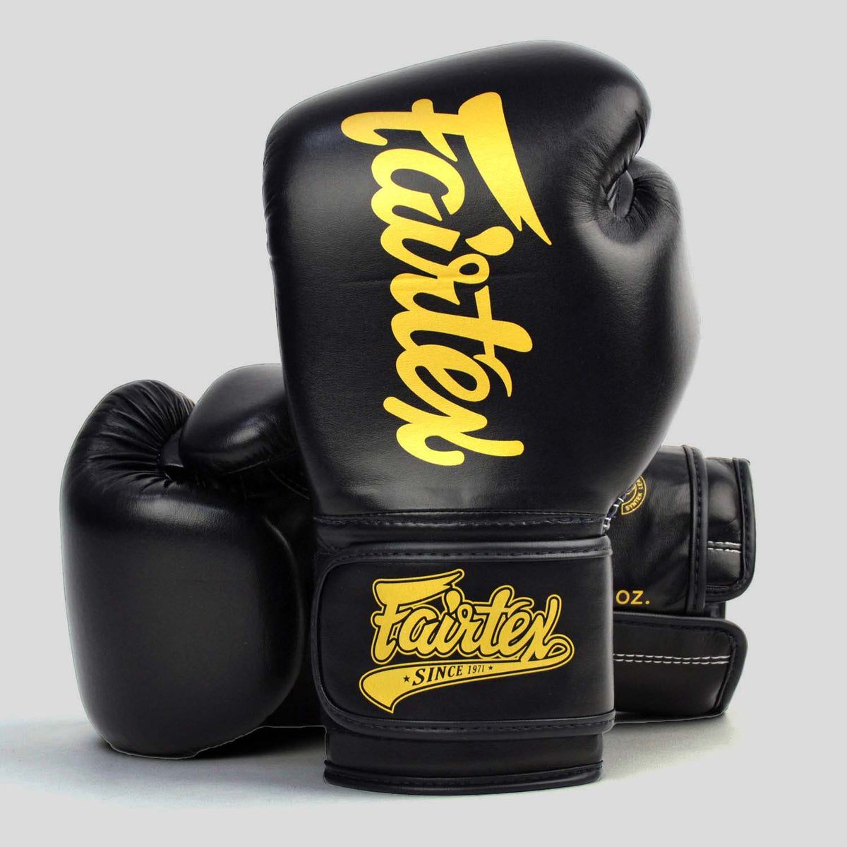 Fairtex BGV18 Super Boxing Gloves Black de Made4Fighters